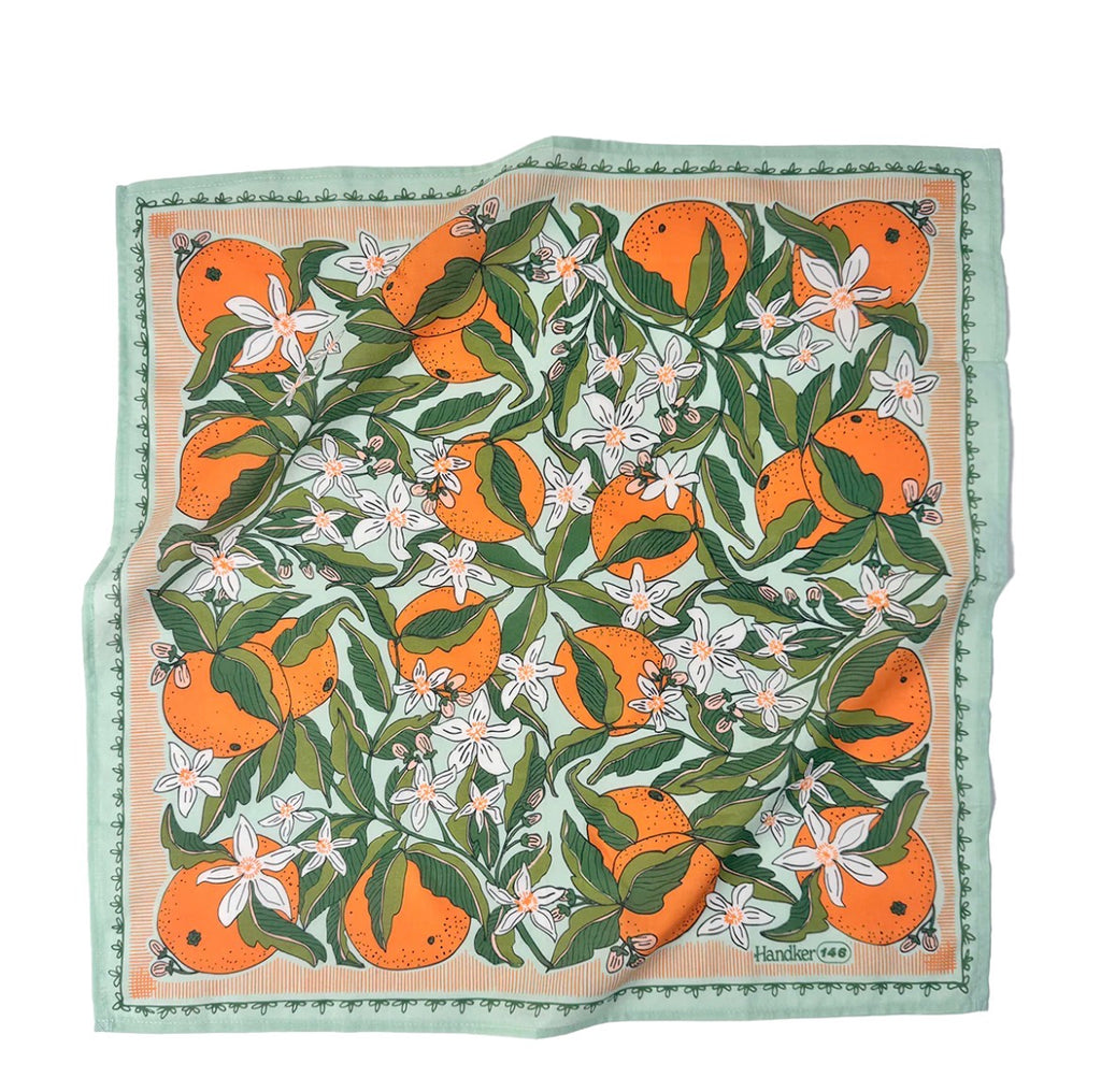 1609 Design Bermuda