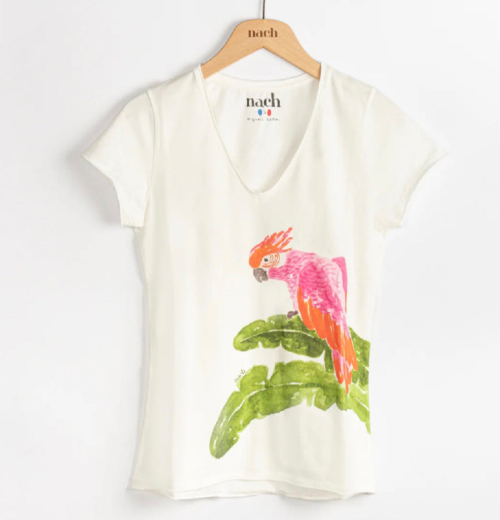 1609 Design Bermuda